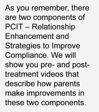 Part 2: Overview of PCIT